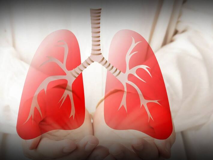 Pneumonia: How Fluid Forms Inside The Lungs And Then Damages It ...