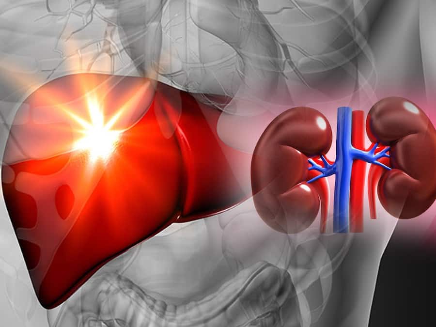 Unexplained Kidney And Liver Problems? Scientists Say A New Genetic ...