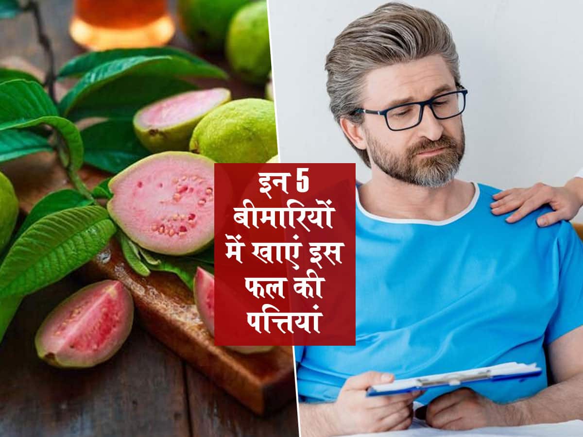 रोज सुबह चबा लें इस पेड़ क पत्तियां, अल्सर से लेकर डायबिटज तक इन 5 ...