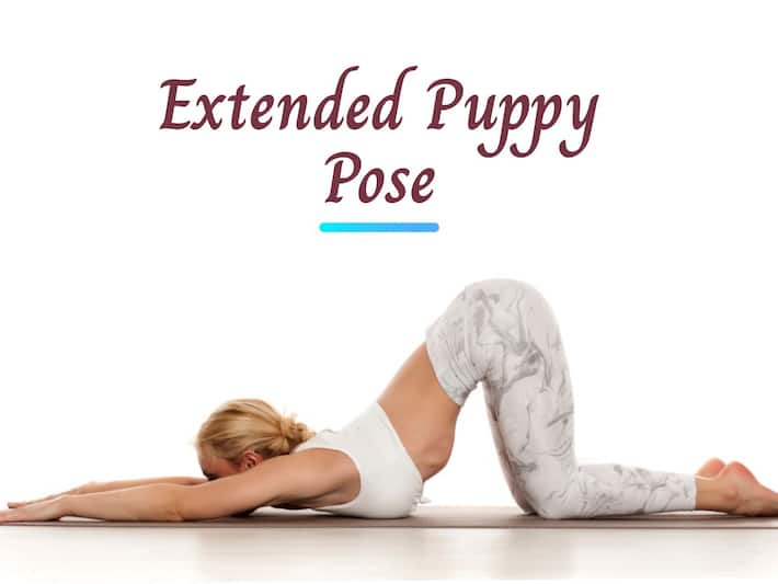 Extended Puppy Pose (Uttana Shishosana): How To Practice, Benefits And ...