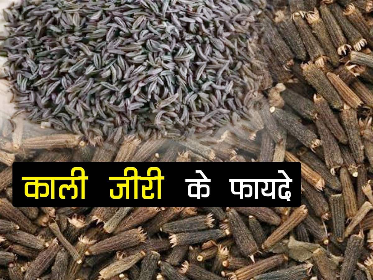 Kala Jeera In Hindi