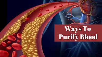 How To Clean Your Blood: 10 Healthy Ways To Purify Blood ...