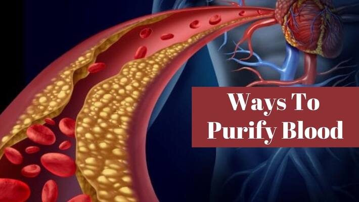 How To Clean Your Blood: 10 Healthy Ways To Purify Blood ...