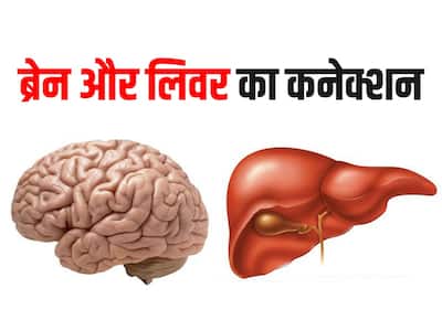 दिमाग के काम काज को भी प्रभावित कर सकता है लिवर, स्टडी से जानें दोनों ...