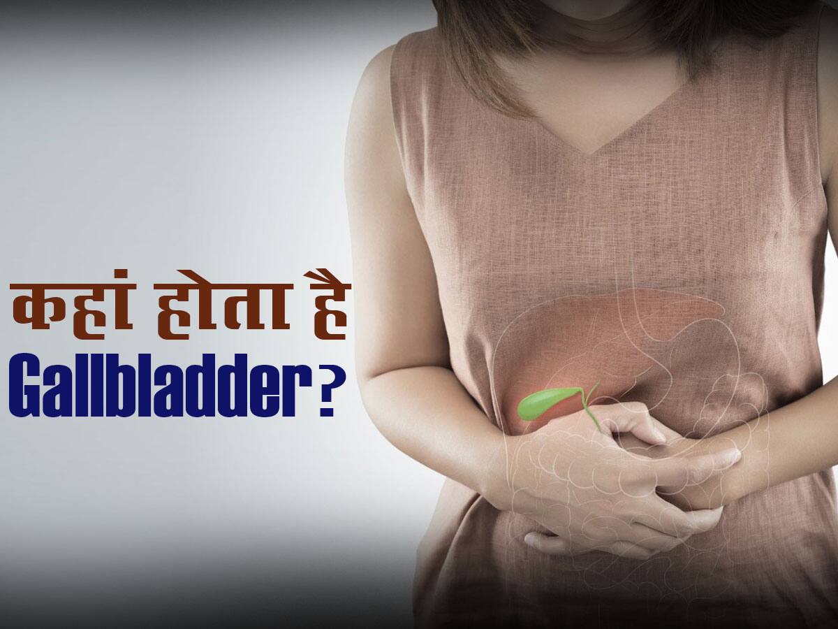 What Is Gallbladder In Hindi Gallbladder what-is-gallbladder-in-hindi-gallbladder