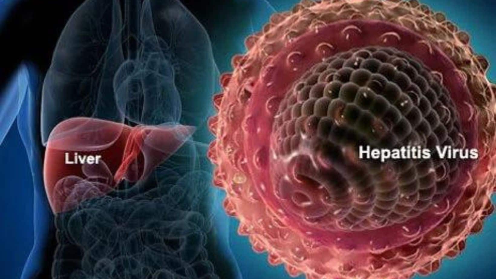 Endocrine Disorders To Liver Damage: The Effects of Hepatitis C on Your ...
