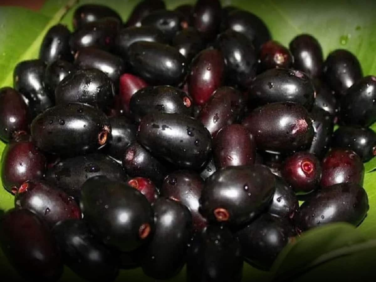 Jamun Ka Sirka Ke Fayde | इस फल से बने सिरके का सेवन करने से ठीक हो ...