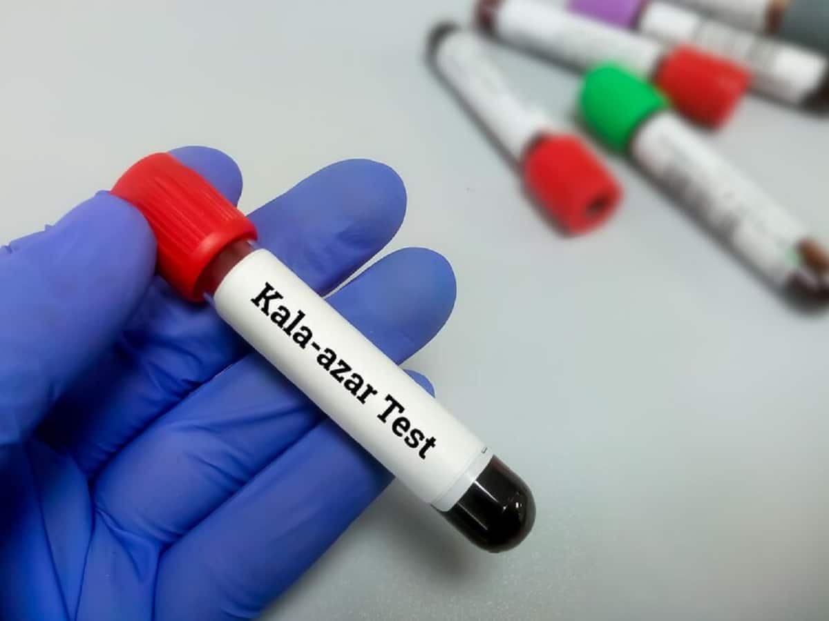 Punjab National Bank Branches IFSC Code: Find all IFSC Code, MICR Code ...