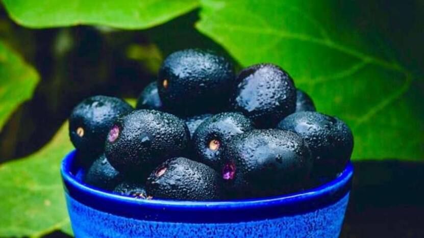 Jamun (Java Plum): Blood Sugar Imbalance And Other Side Effects You ...