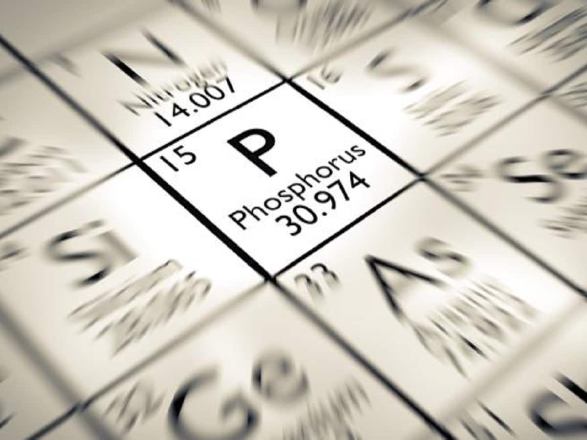 7 Phosphorus Rich Foods For Stronger Bones, Muscles And Heart ...