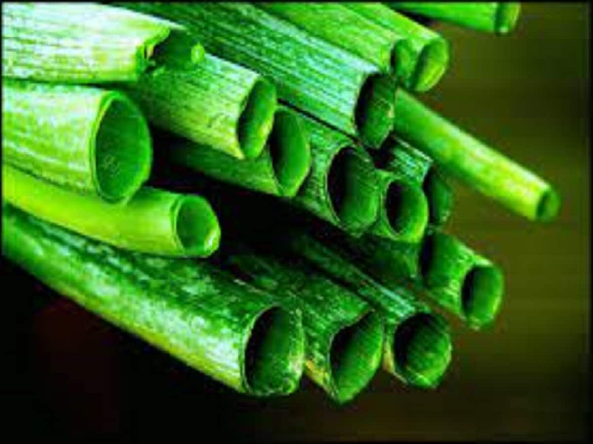 5 Inulin Rich Foods You Must Have For A Healthy Gut Microbiome ...