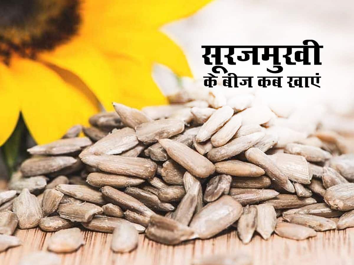गाउट और एनीमिया जैसी इन 5 समस्याओं में खाएं सूरजमुखी के बीज, जानें इसे ...