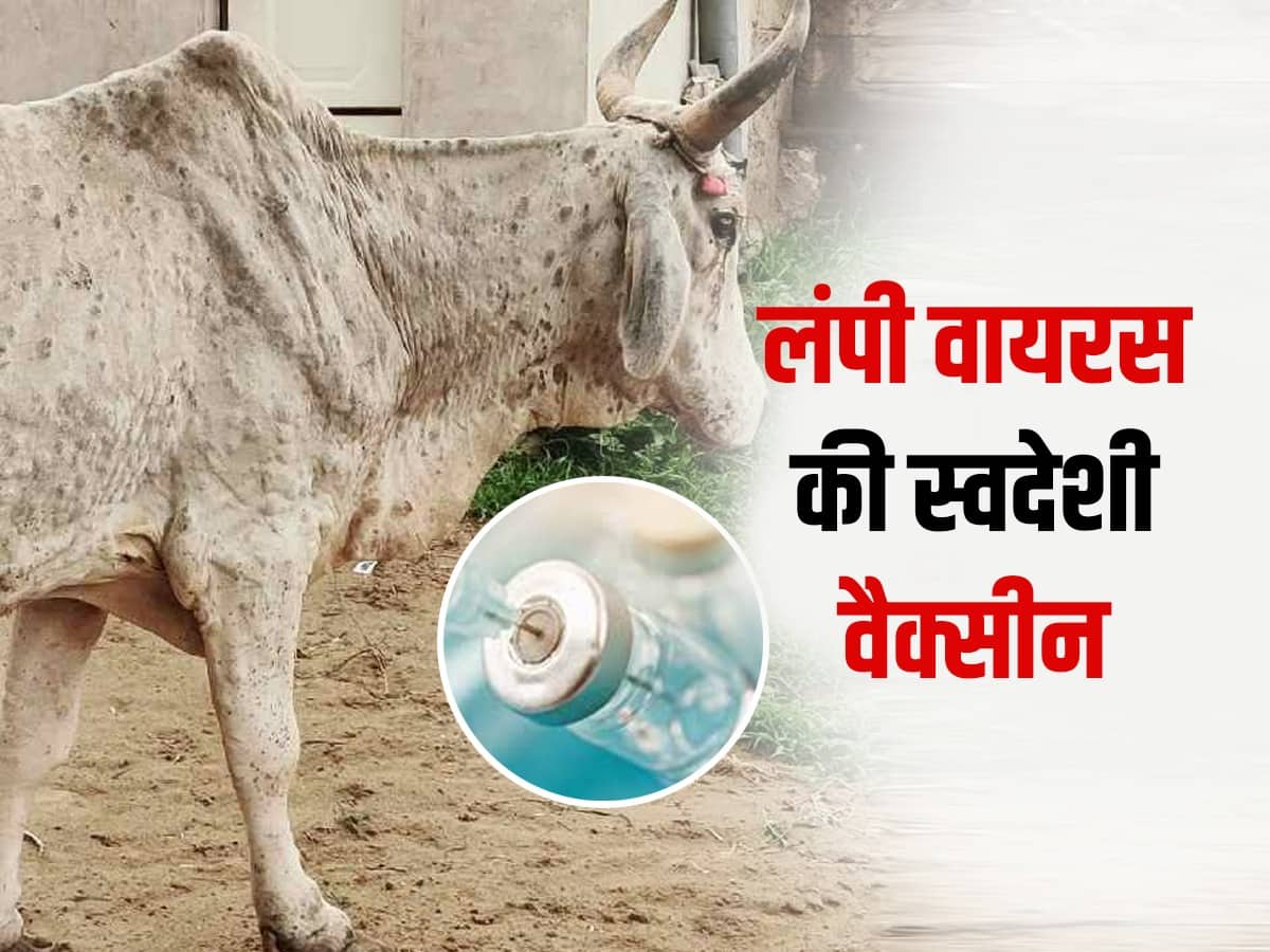 जल्द ही आने वाली है लंपी वायरस की स्वदेशी वैक्सीन, ICAR और IVRI ने मिल ...