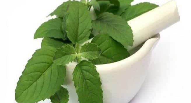 Boost Lung Health With These 5 Ayurvedic Herbs | TheHealthSite.com