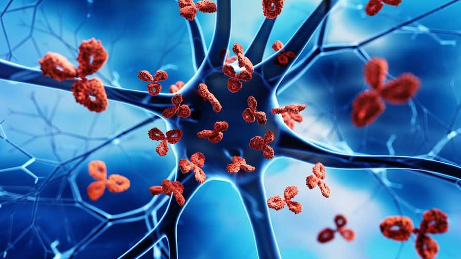 Do You Experience Random Bruising? Learn About This Autoimmune Blood ...