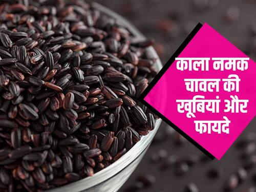 काला नमक चावल (Kalanamak rice) क्या है, जानें क्यों कहा जाता है इसे ...