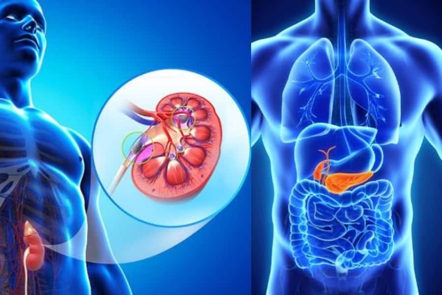 Gall Bladder Diseases: Colour of Your Urine Can Say If Your Bladder Is ...