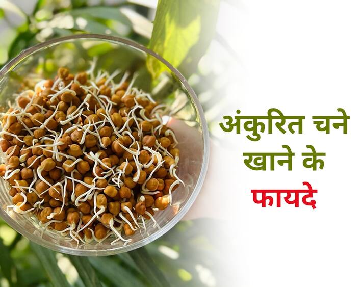 Ankurit Chane Khane Ke Fayde | Sprouted Gram Benefits | अंकुरित चने ...
