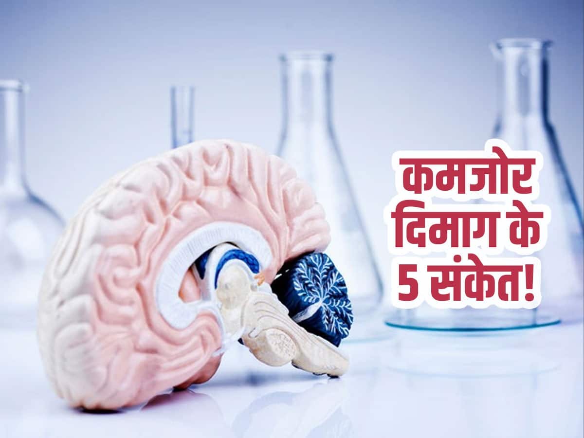 Weak Brain Signs in hindi : कमजोर दिमाग का लक्षण है ये 5 संकेत! कहीं ...