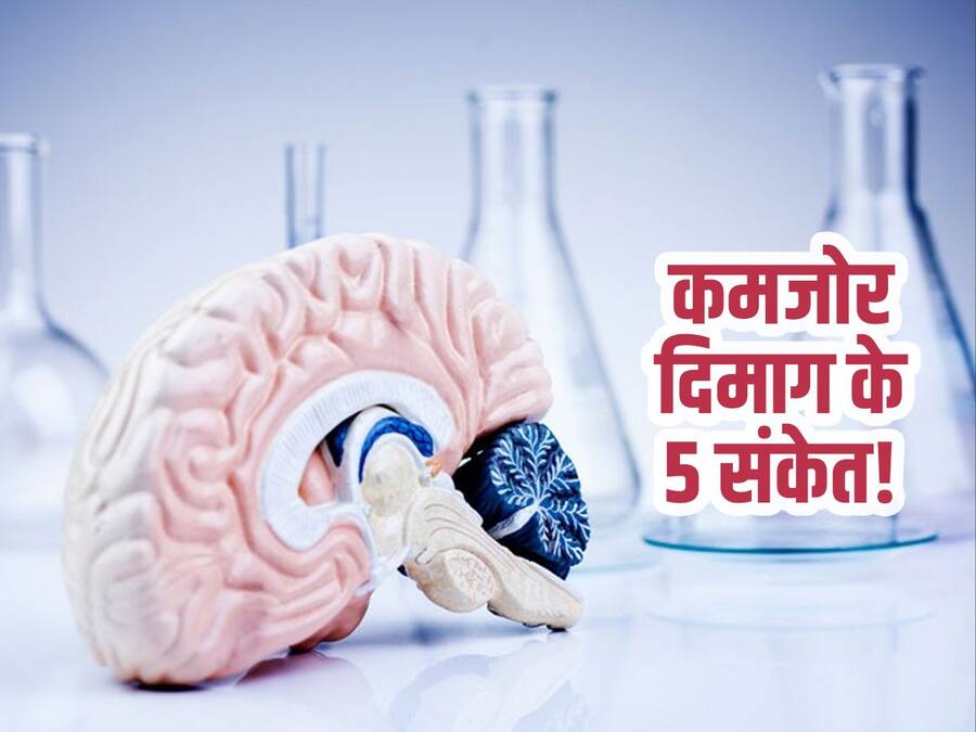 Weak Brain Signs in hindi : कमजोर दिमाग का लक्षण है ये 5 संकेत! कहं ...