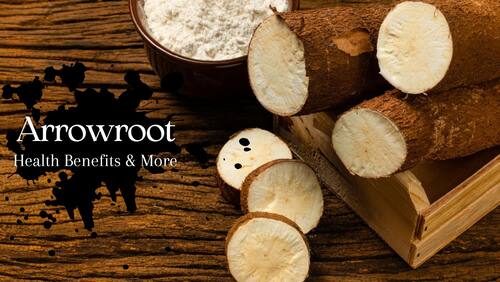 Arrowroot Health Benefits: Relieving Constipation To Managing Diabetes ...
