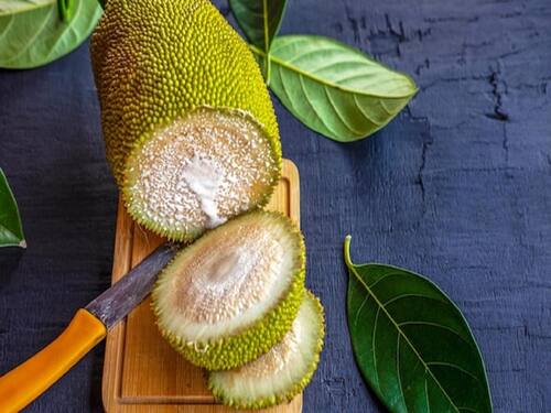 Green Jackfruit Flour Could Be An Affordable Diet Solution For Diabetes ...
