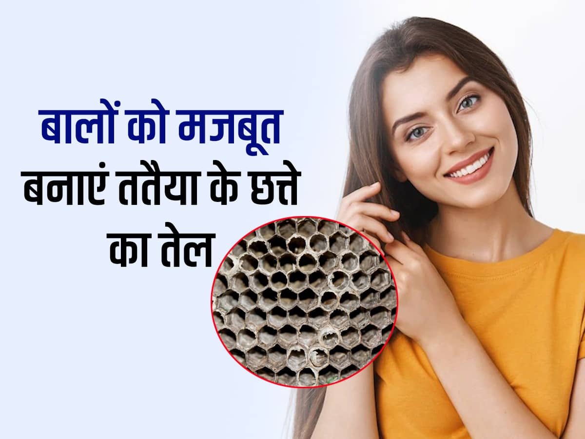 झड़ते बेजान बालों में जान डाले ततैया का तेल, जानें बनाने की विधि और ...