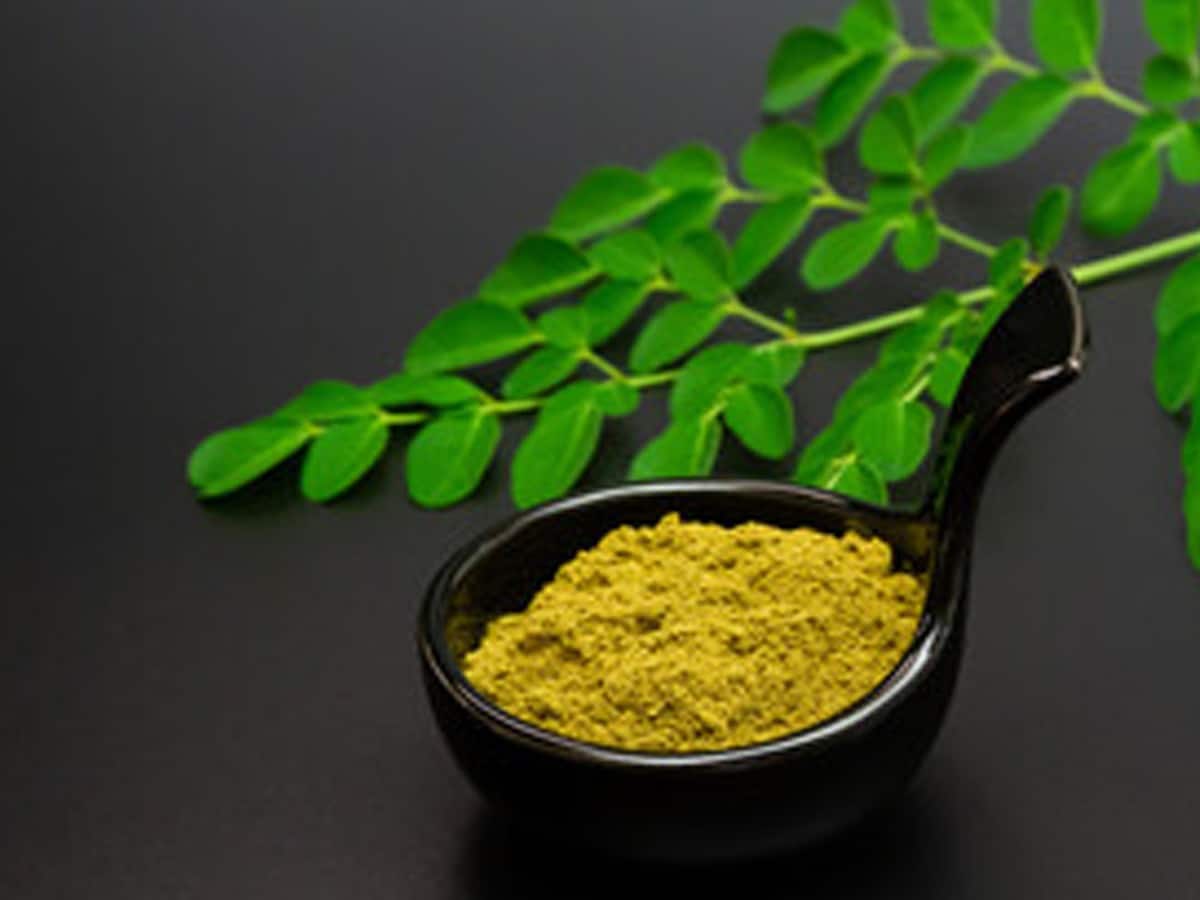 मोरिंगा के पत्ते खाने से दूर होती हैं ये 8 हेल्थ प्रॉब्लम्स, जानें सहजन ...