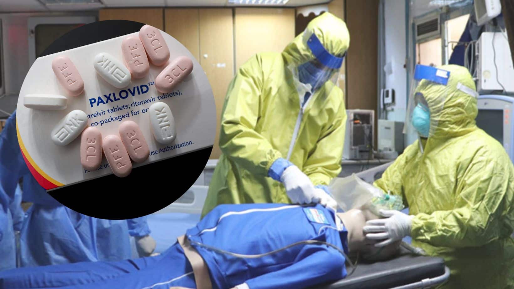 Can Paxlovid Treat COVID-19 Infection? WHO Releases New Guidelines ...