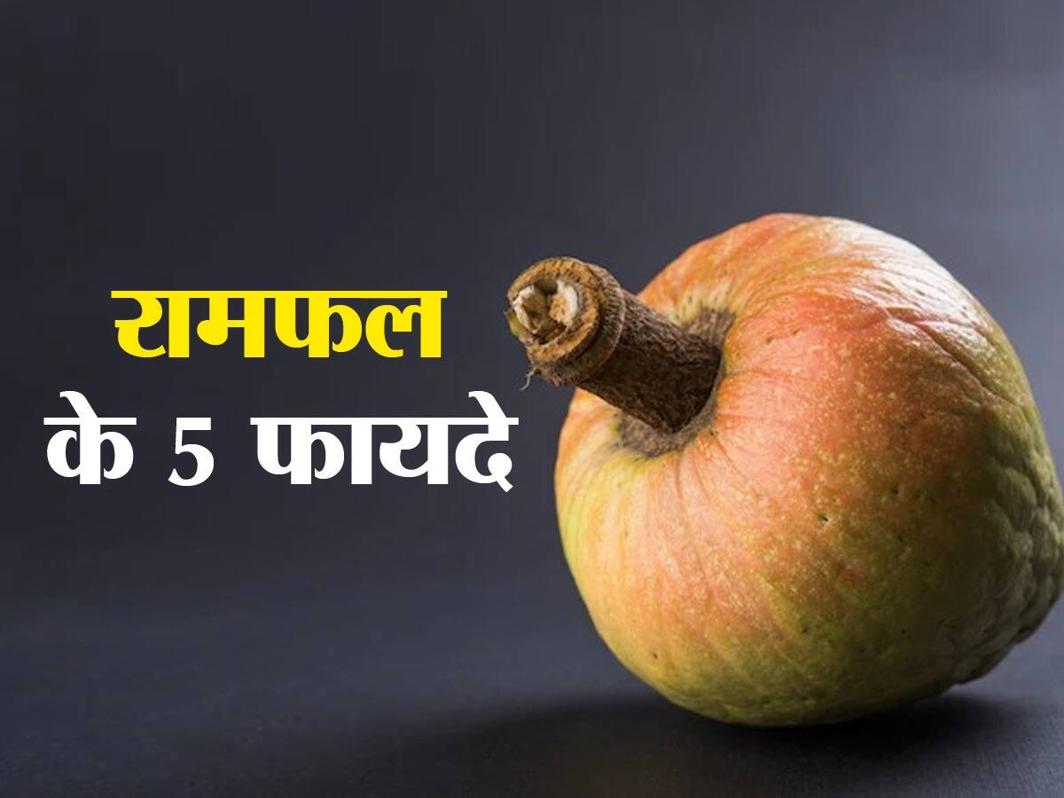 Ramphal Benefits : रामफल में छिपे हैं कई गुण, कोलेस्ट्रॉल से लकर इन 5 ...