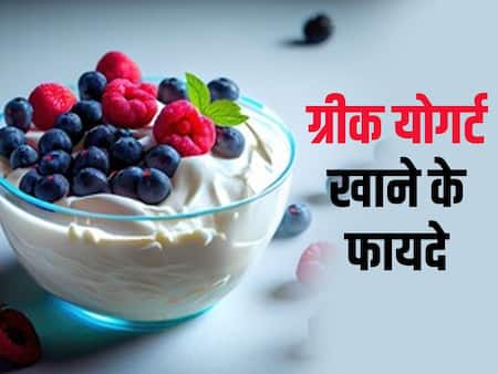Greek yogurt in hindi store