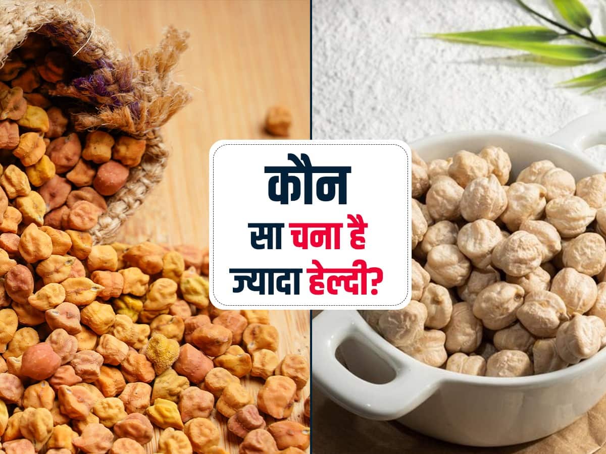 Which Type of Chana is Best In Hindi | कौन सा चना है ज्यादा बेहतर ...