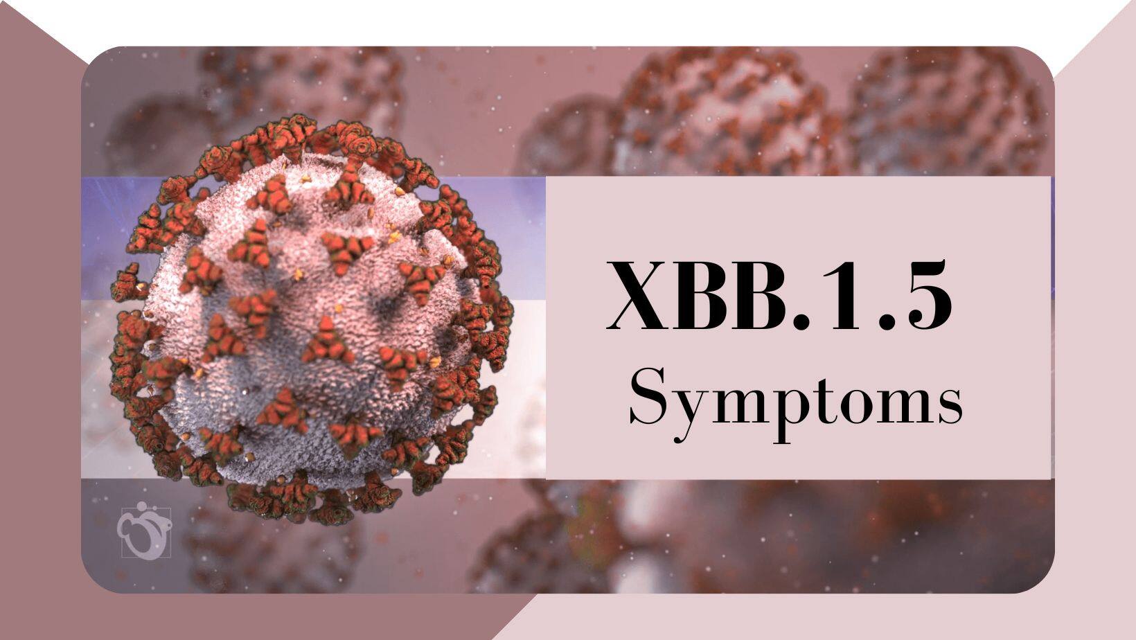 Omicron Subvariant XBB.1.5 Sweeps Through United States, CDC Warns ...