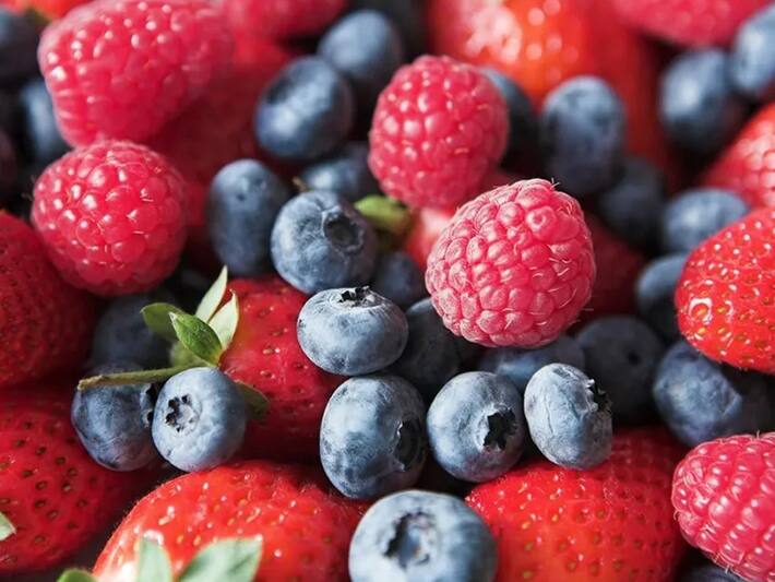 5 Super Foods That Boost Memory And Brain Power | TheHealthSite.com