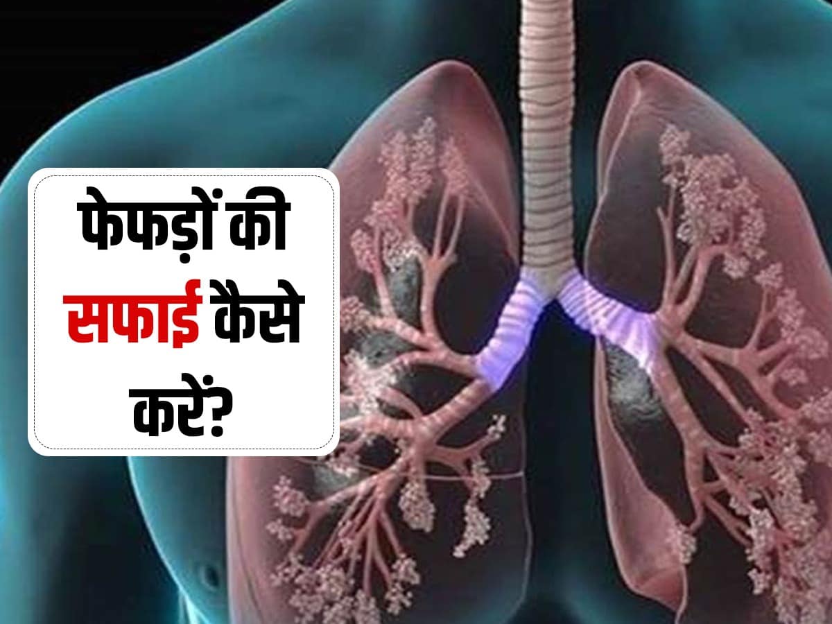 फेफड़ों में जमा गंदगी को खींचकर बाहर कर देते हैं ये 10 सुपरफूड, जानिए ...