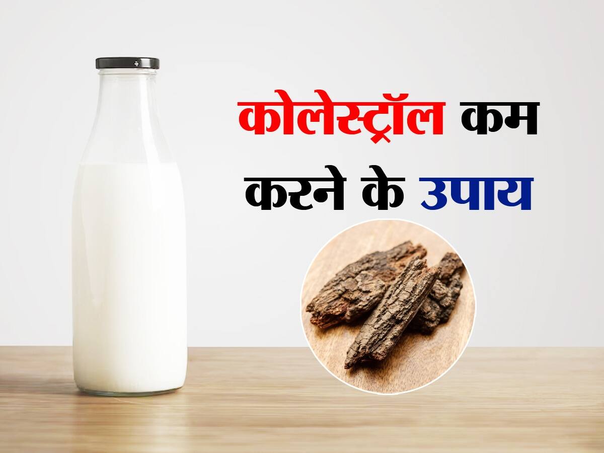 Arjuna Bark In Cholesterol In Hindi कोलेस्ट्रॉल से परेशान हैं तो दूध