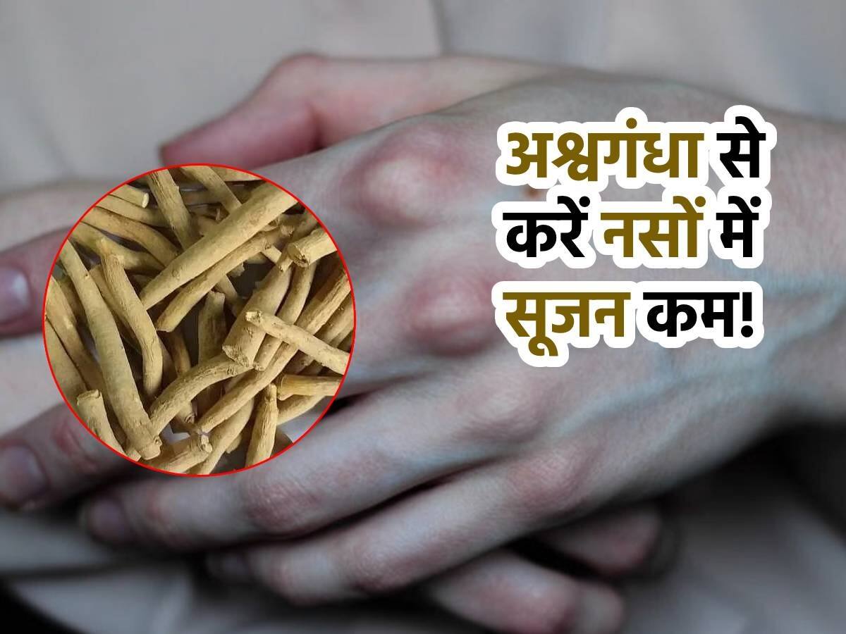 Ashwagandha for Vasculitis inflammation : नसों में सूजन की परेशानी को ...
