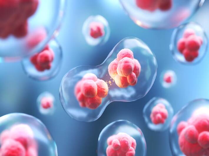 Back To Nature: 4 Measures To A Healthier IVF Procedure | TheHealthSite.com