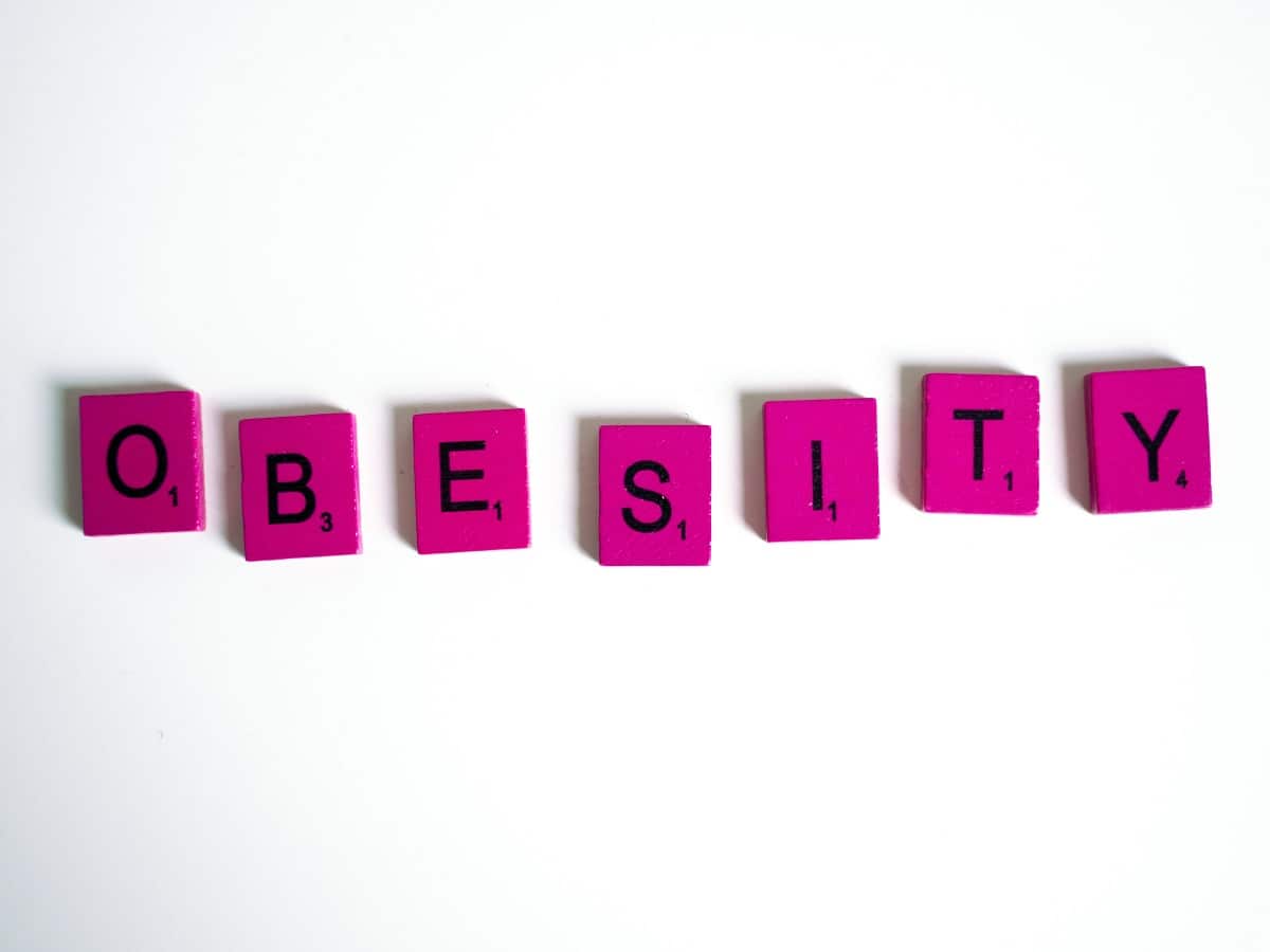 Obesity: A Complex Cycle Poorly Understood | TheHealthSite.com
