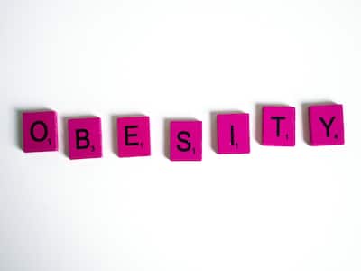 Obesity: A Complex Cycle Poorly Understood | TheHealthSite.com