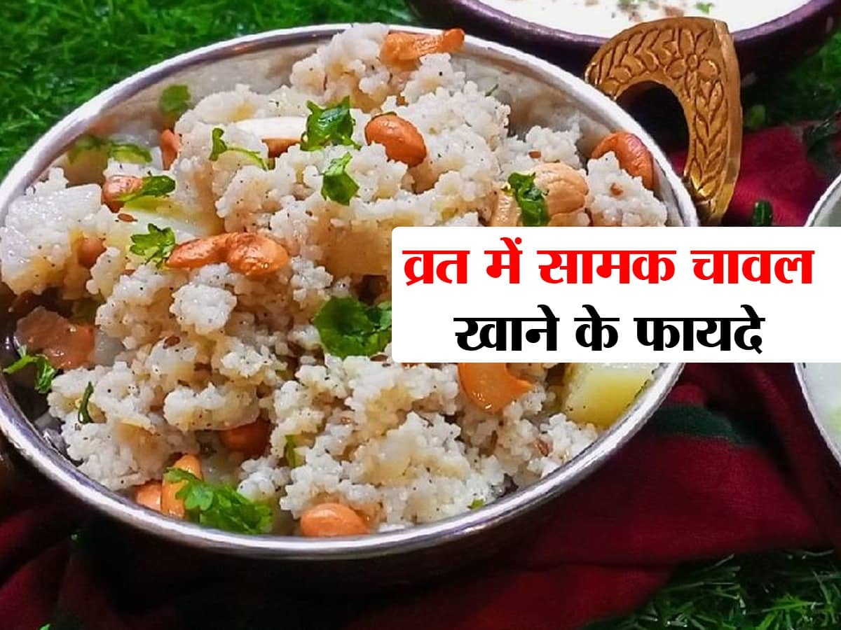 Chaitra Navratri 2023: नवरात्र व्रत में सामक चावल खाने के क्या फायदे ...