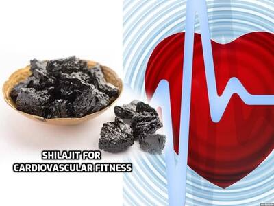 Uncovering The Power Of Shilajit: How This Ancient Remedy Boosts ...