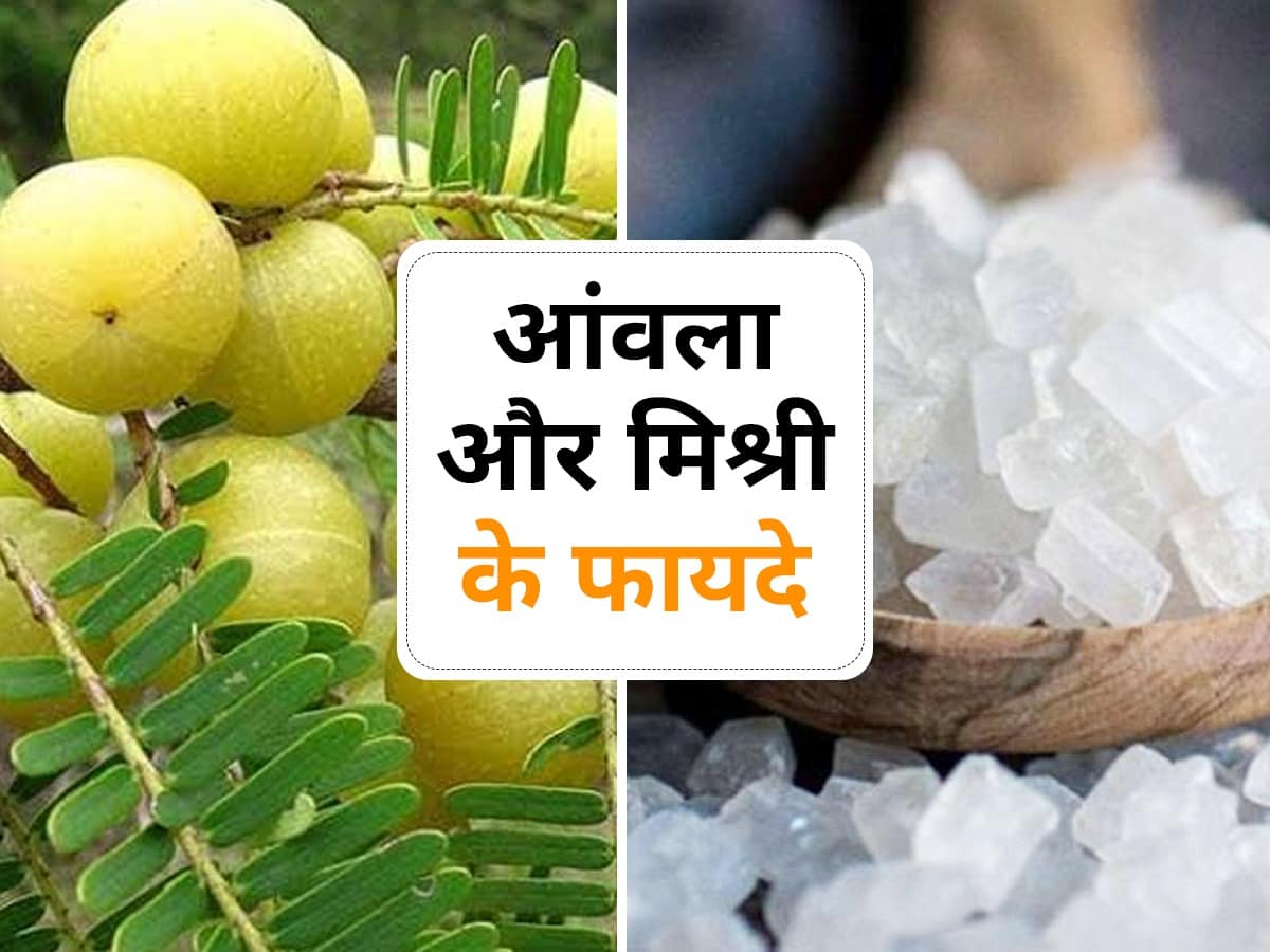 Amla and Mishri Combination : आंवला और मिश्री का कॉम्बिनेशन है बेस्ट ...