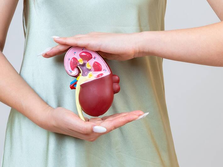 Diabetes And Kidney Stones: Understanding The Link And Reducing Risk ...