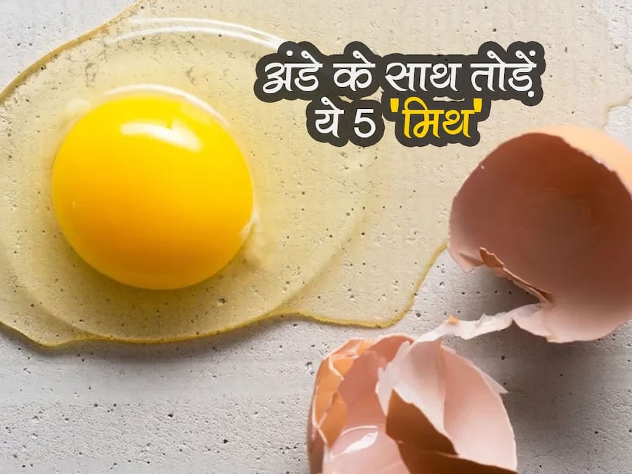 Egg Myths : अंडे से जुड़े इन 5 मिथ पर कभी न करें विश्वास ...