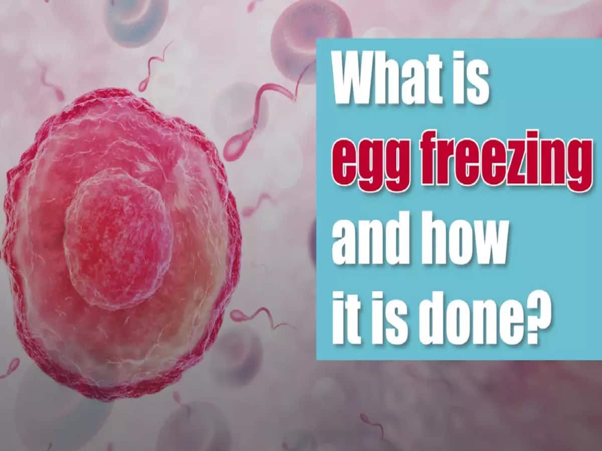 Egg Freezing In India: What Happens When You Freeze Eggs ...
