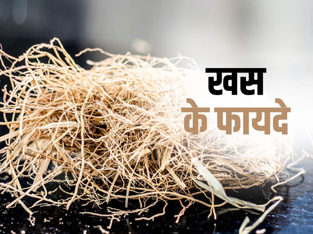 Khus Drink Benefits: खस देगा गर्मी को मात, इस मौसम में फायदे जानकर रह ...