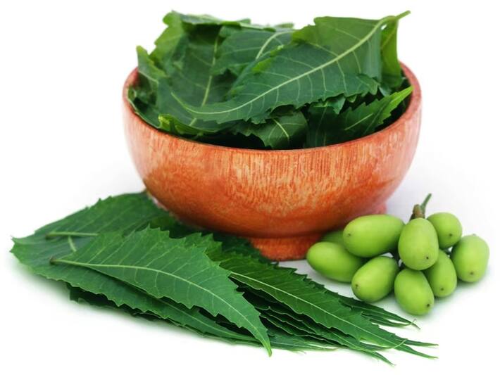 Dengue Ka Ayurvedic Upchar | डेंगू बुखार का काल हैं ये 6 आयुर्वेदिक ...