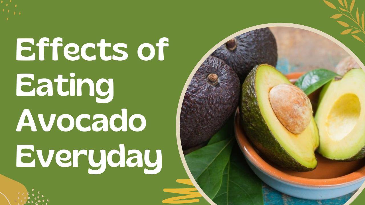 Avocado Benefits: What Happens To Your Body If You Eat Avocado Every ...