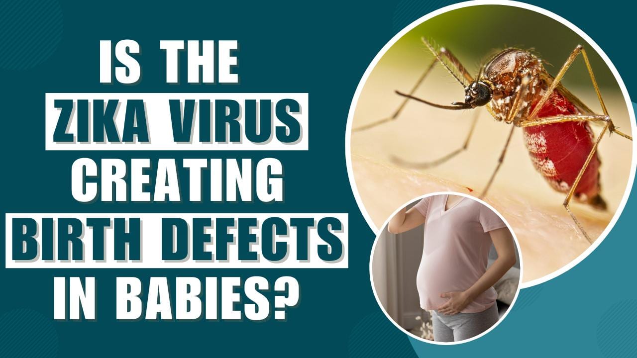Zika Virus detected in India: learn about the early warning signs ...